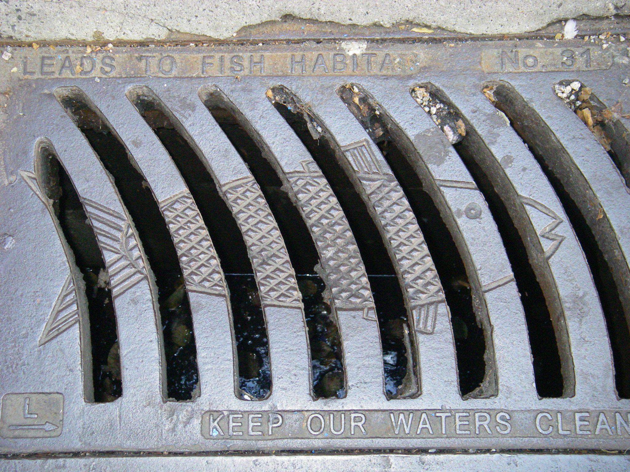 Where do red or blue colour-coded drains actually go to? - Quest For ...